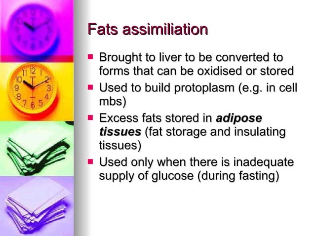 Chapter 6 Nutrition in Humans Lesson 2 - Absorption and Assimiliation | PPT