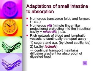 Chapter 6 Nutrition in Humans Lesson 2 - Absorption and Assimiliation | PPT