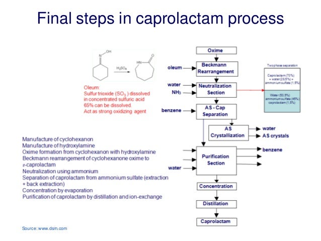 Chemical Processes