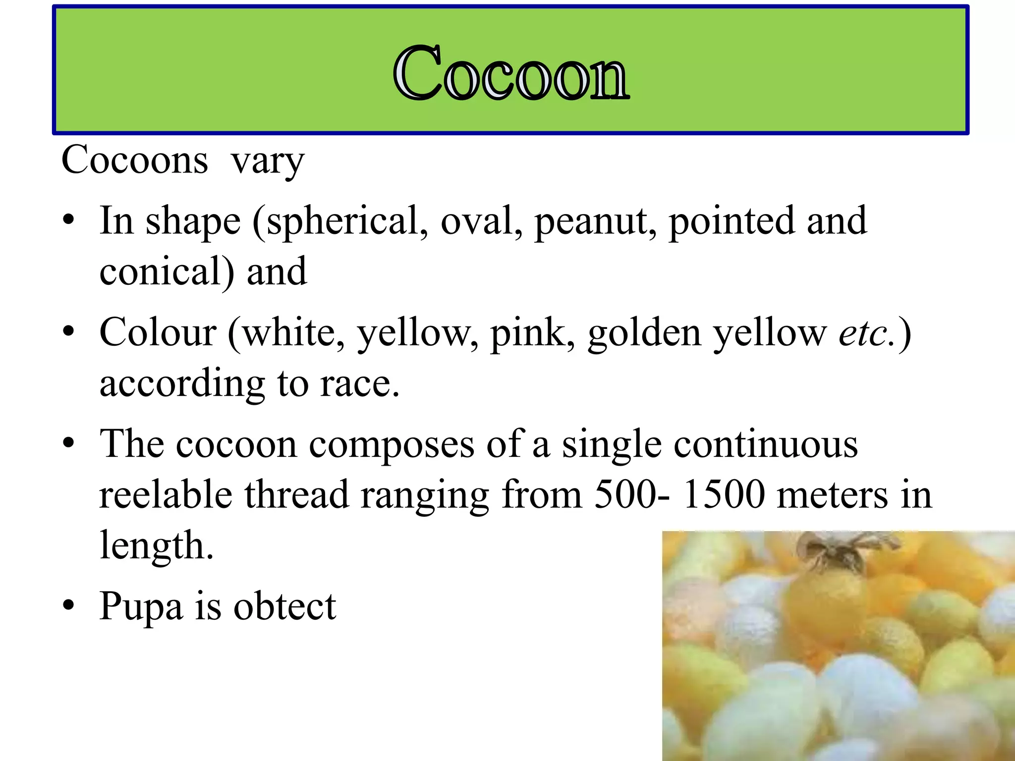 2 (a) chapter morphology and life cycle of silkworms species and their ...