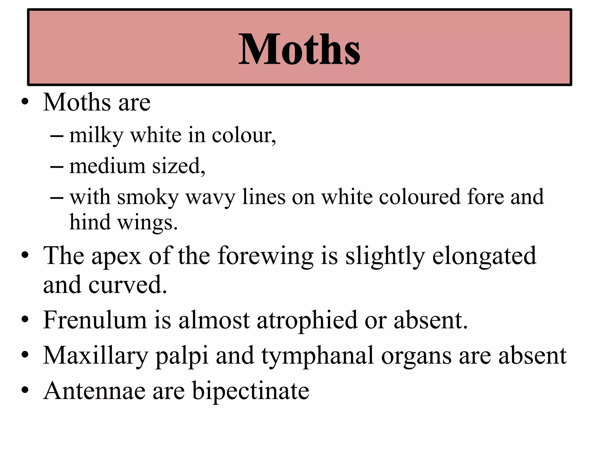 2 (a) chapter morphology and life cycle of silkworms species and their ...