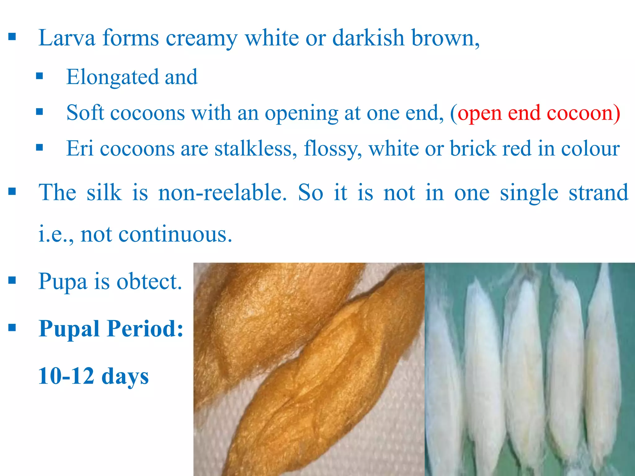 2 (a) chapter morphology and life cycle of silkworms species and their ...