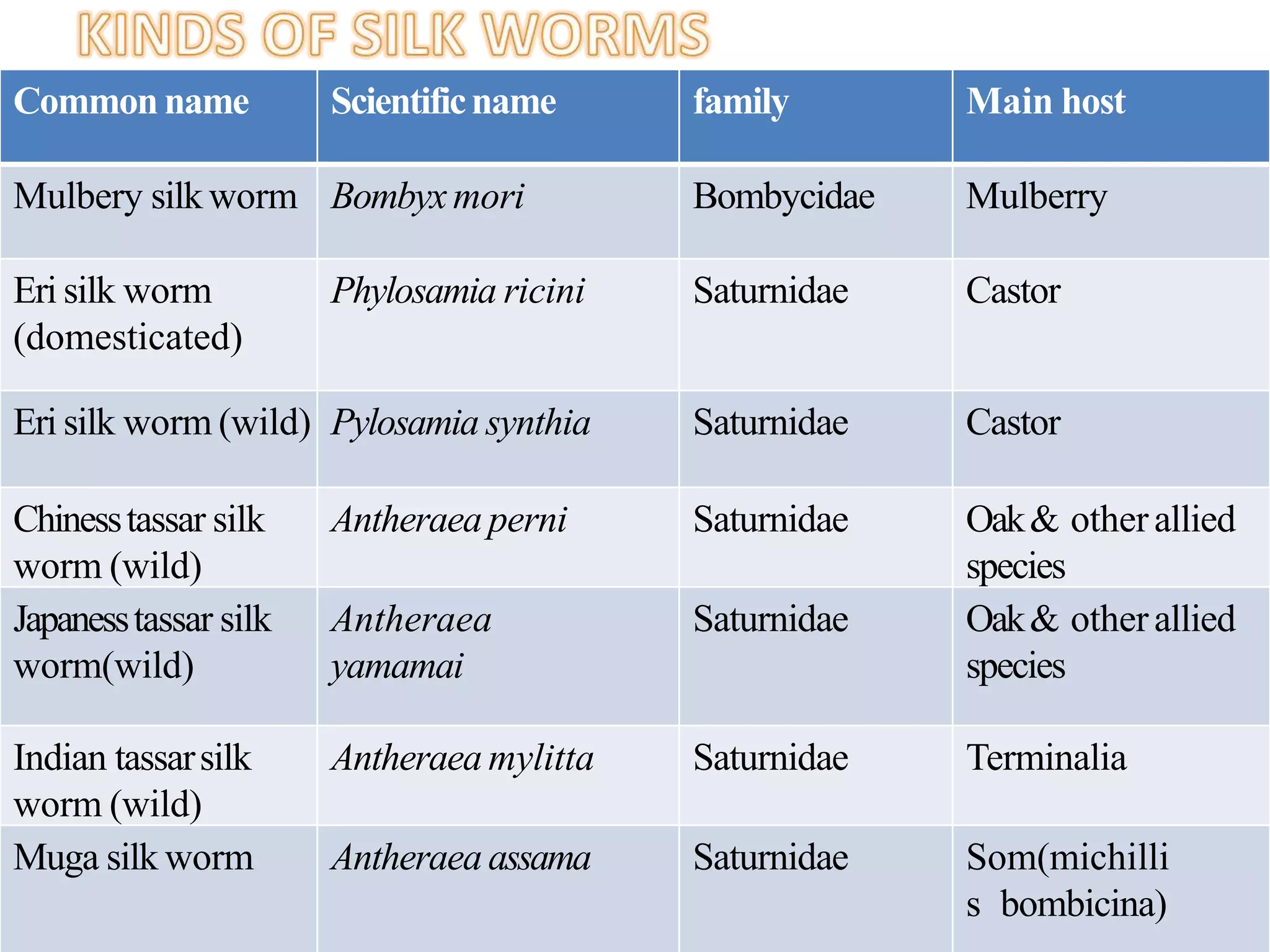 2 (a) chapter morphology and life cycle of silkworms species and their ...