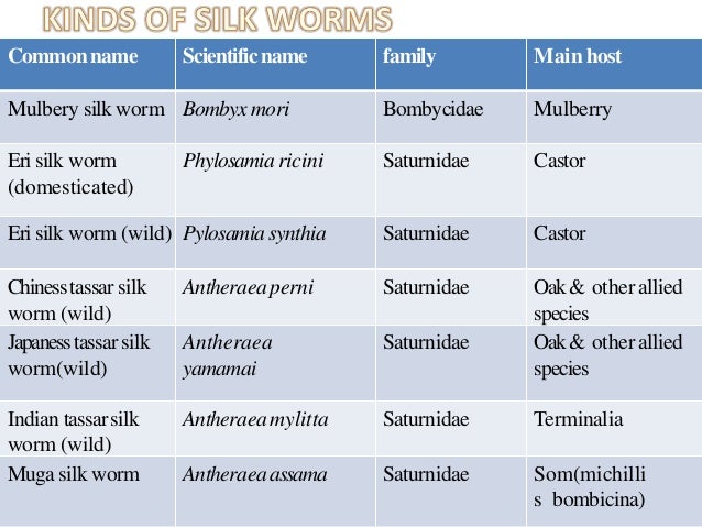 2 (a) chapter morphology and life cycle of silkworms species and t…