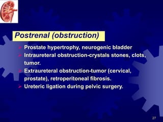 acute renal failure in icu | PPTX