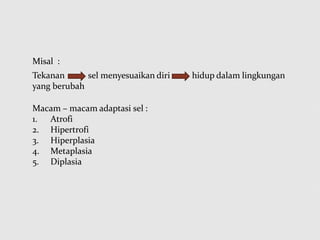 2 Adaptasi Sel dan Jejas Sel.pptx Ilmu Dasar Kep | PPT