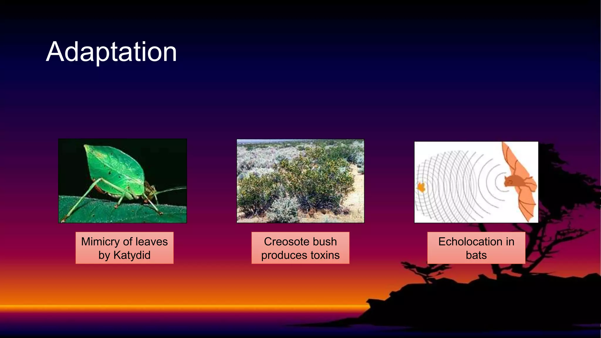 Organism and Its Environment | PPTX