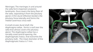 Radiological features of Pituitary adenomas | PPT
