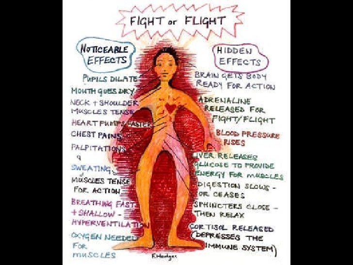 Chapter 15 Hormones Lesson 2 - Effects of Adrenaline and Table of com…