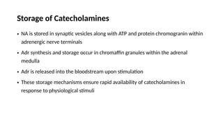 ADRENERGIC NEUROTRANSMISSION AND RECEPTORS.pptx