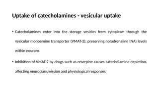 ADRENERGIC NEUROTRANSMISSION AND RECEPTORS.pptx