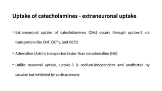 ADRENERGIC NEUROTRANSMISSION AND RECEPTORS.pptx
