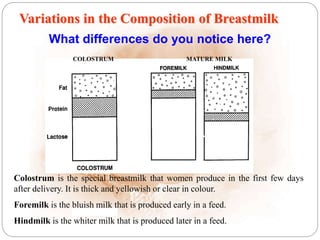 advantage of breastfeeding | PPT