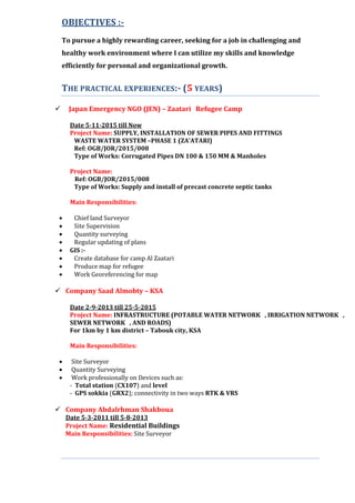 Sur.C.V 2016-11-2 | PDF