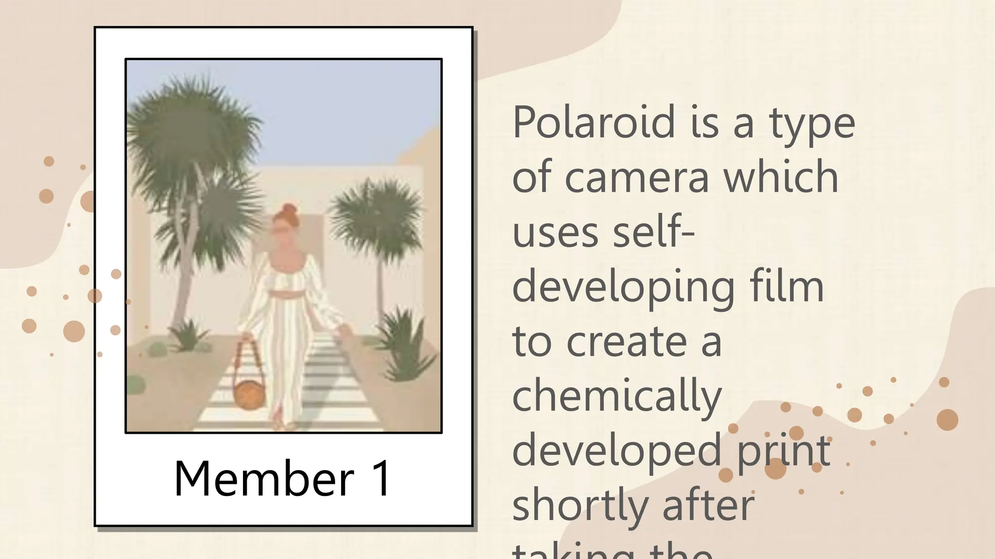 #2 Aesthetic Polaroid PPT. PowerPoint on photography | PPTX
