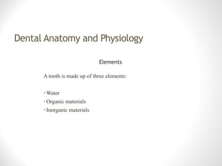 Anatomy of tooth | PDF