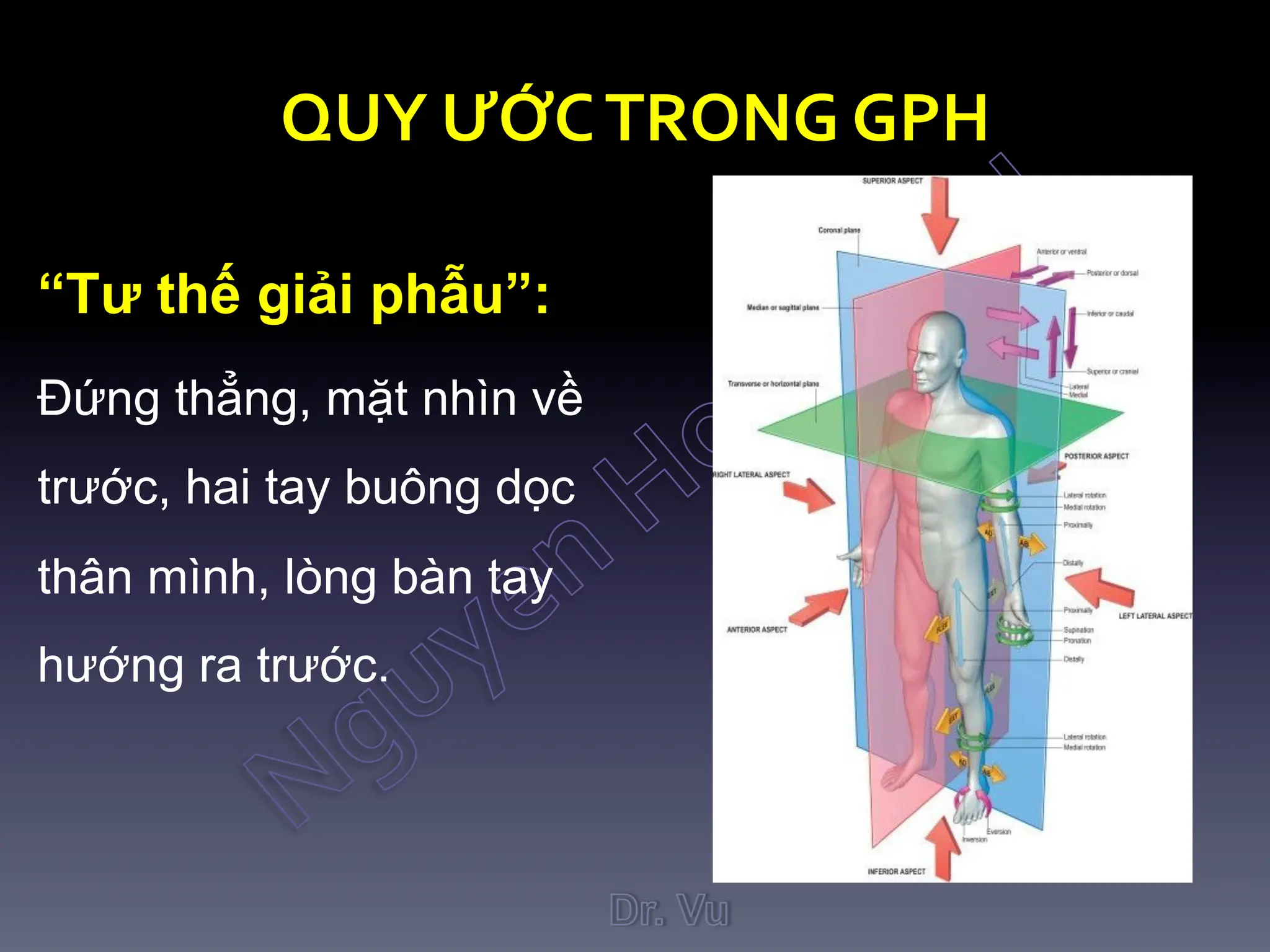 Bai_1_Cac_Van_De_Co_Ban_cua_Giai_Phau.pdf