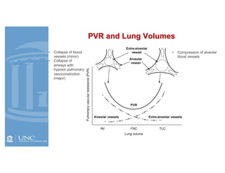 The Critically Ill PAH Patient | PDF