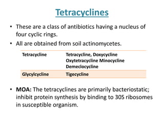 Introduction to aminoglycosides and broad spectrum antibiotics | PPTX