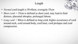 amnion_and_umbilical_cord power point presentation | PPTX
