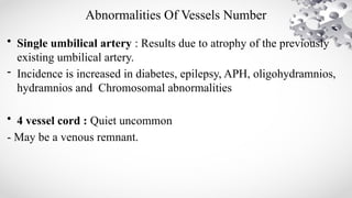 amnion_and_umbilical_cord power point presentation | PPTX