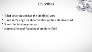 amnion_and_umbilical_cord power point presentation | PPTX