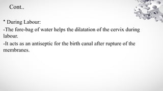 amnion_and_umbilical_cord power point presentation | PPT