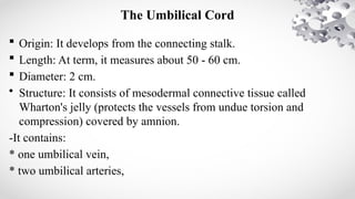 amnion_and_umbilical_cord power point presentation | PPT