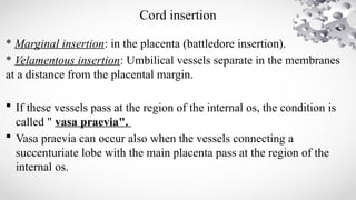 amnion_and_umbilical_cord power point presentation | PPT