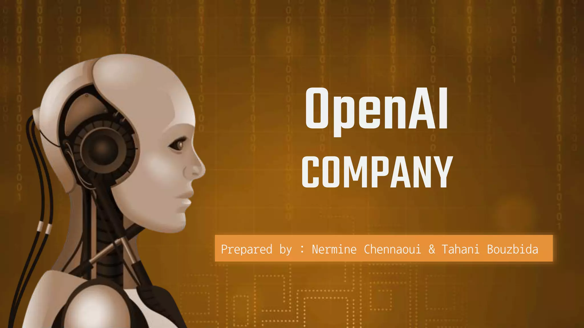 OpenAI_Company.pptx
