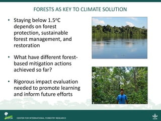 Understanding what works in forest-based climate change mitigation ...
