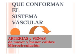 2 Anatomía fisiología del sistema vascular.ppt.pdf