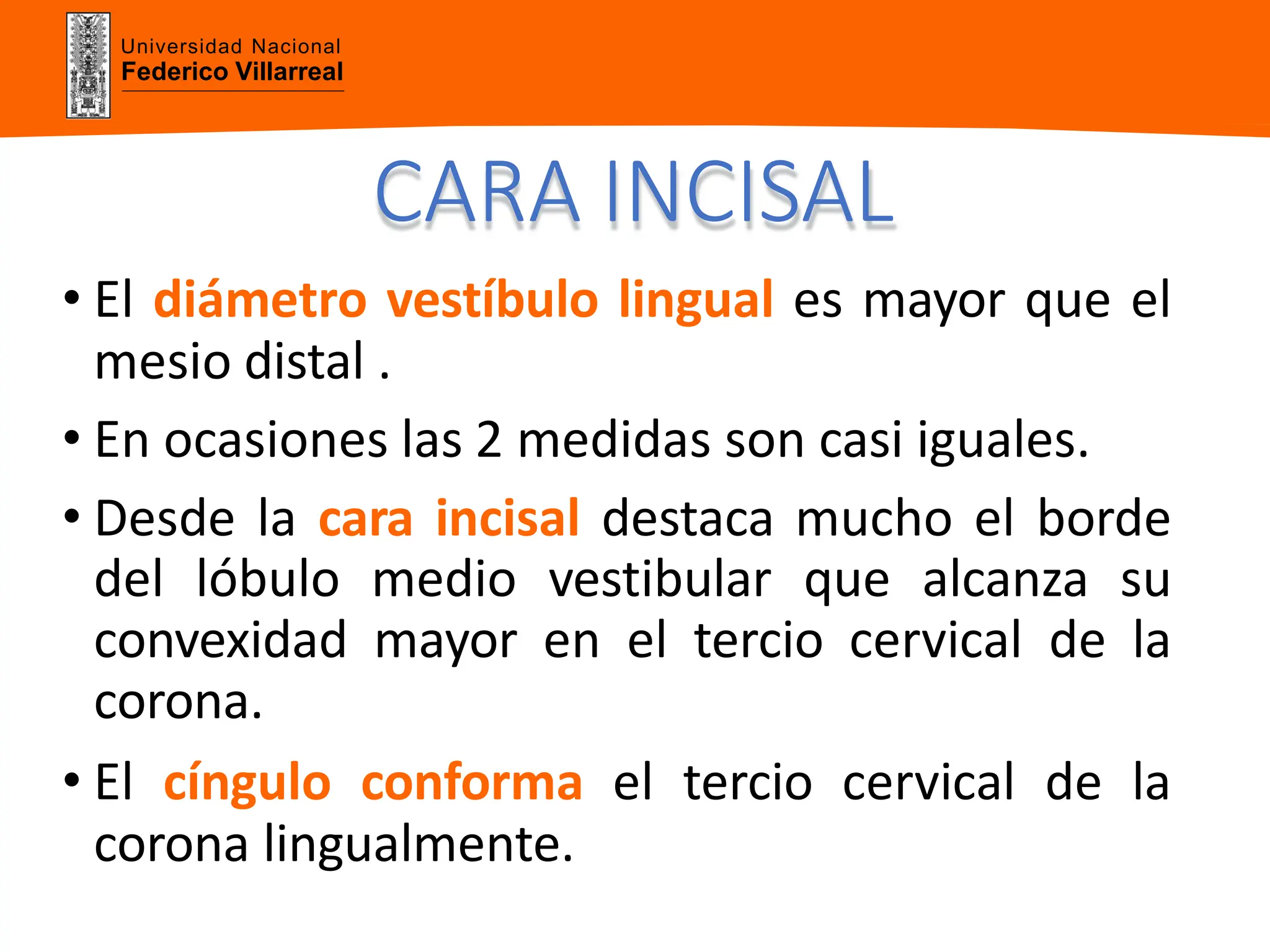 2 ANATOMIA-DENTAL-SECTOR-ANTERO-SUPERIOR nivelacion .pdf
