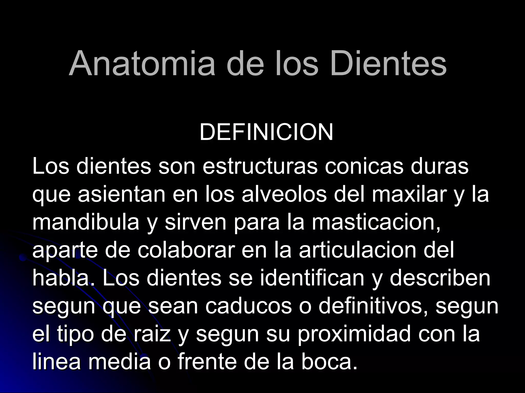 2 anatomia de los dientes | PPT | Dental Health | Diseases and Conditions