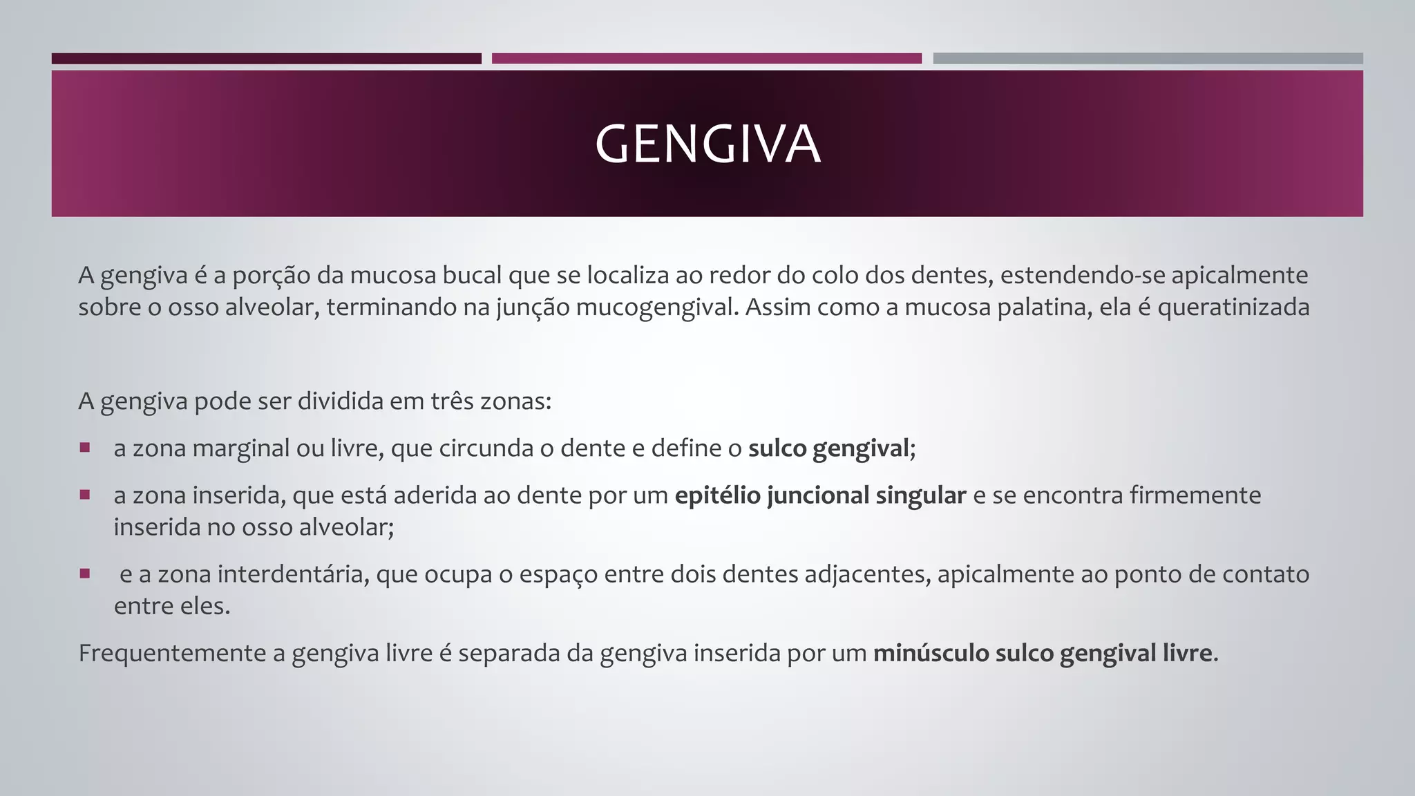 2 ANATOMIA E HISTOLOGIA DO PERIODONTO.pptx | Dental Health | Diseases ...