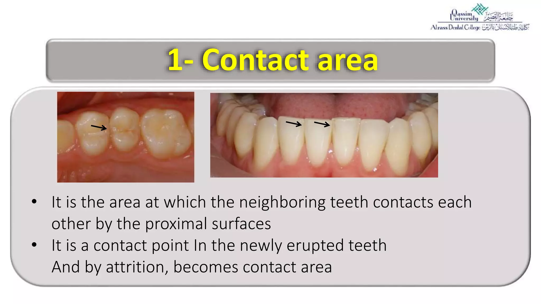 2= Anatomical landmarks and dental tissues.pptx