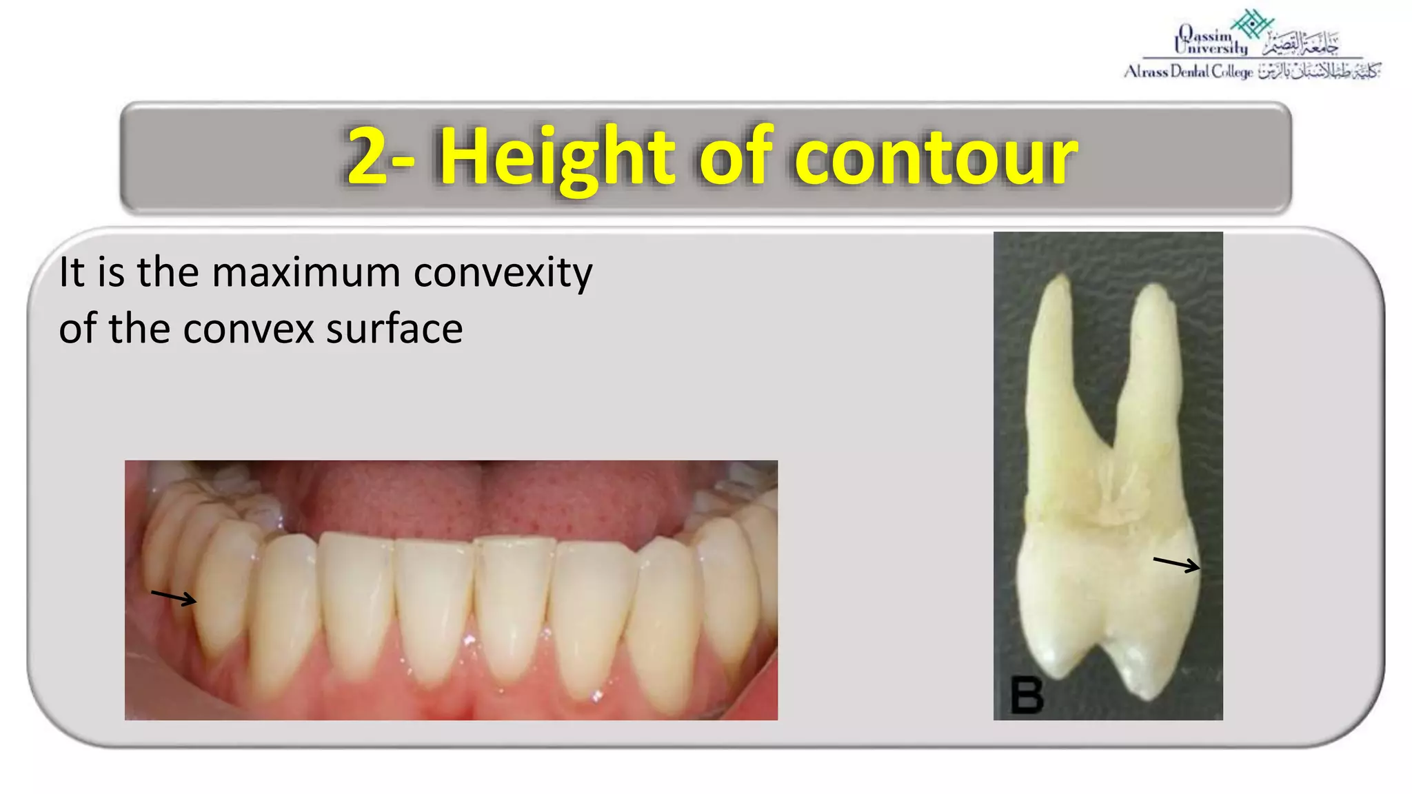 2= Anatomical landmarks and dental tissues.pptx