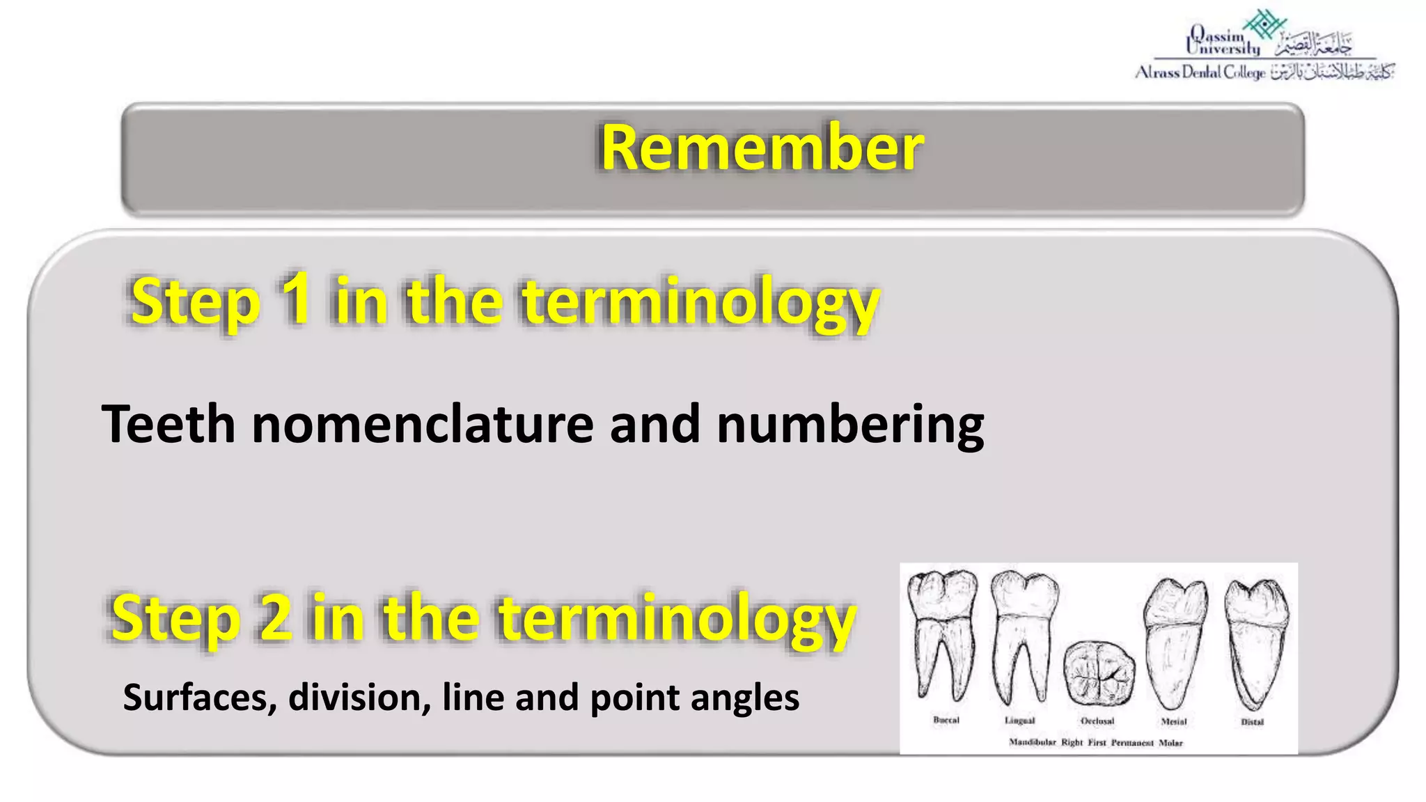 2= Anatomical landmarks and dental tissues.pptx