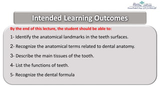 2= Anatomical landmarks and dental tissues.pptx