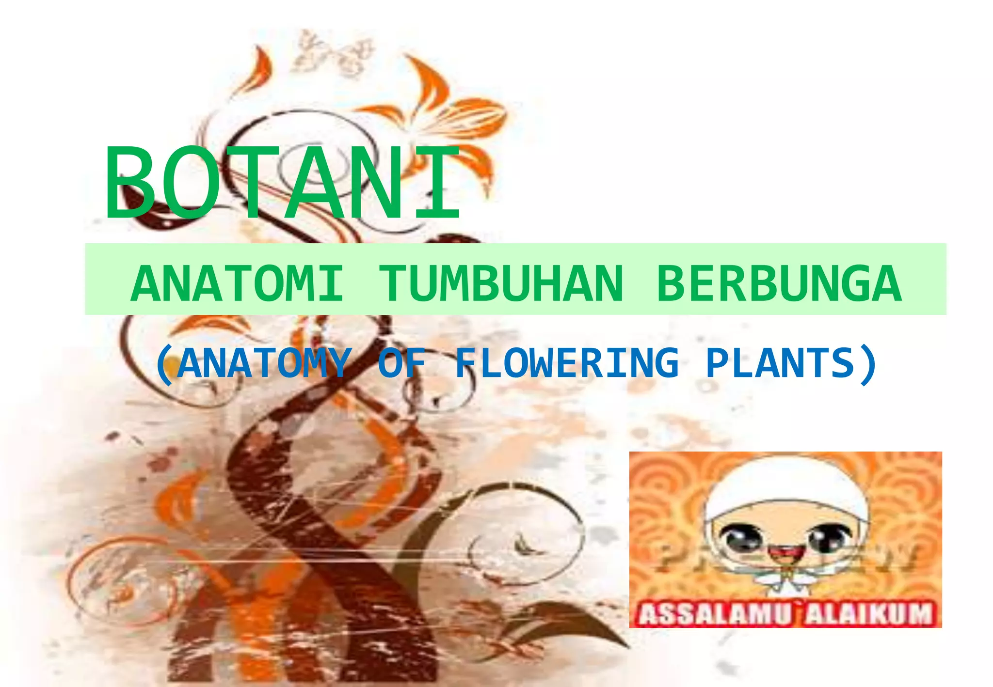 2 ANATOMI TUMBUHAN BERBUNGA.ppt