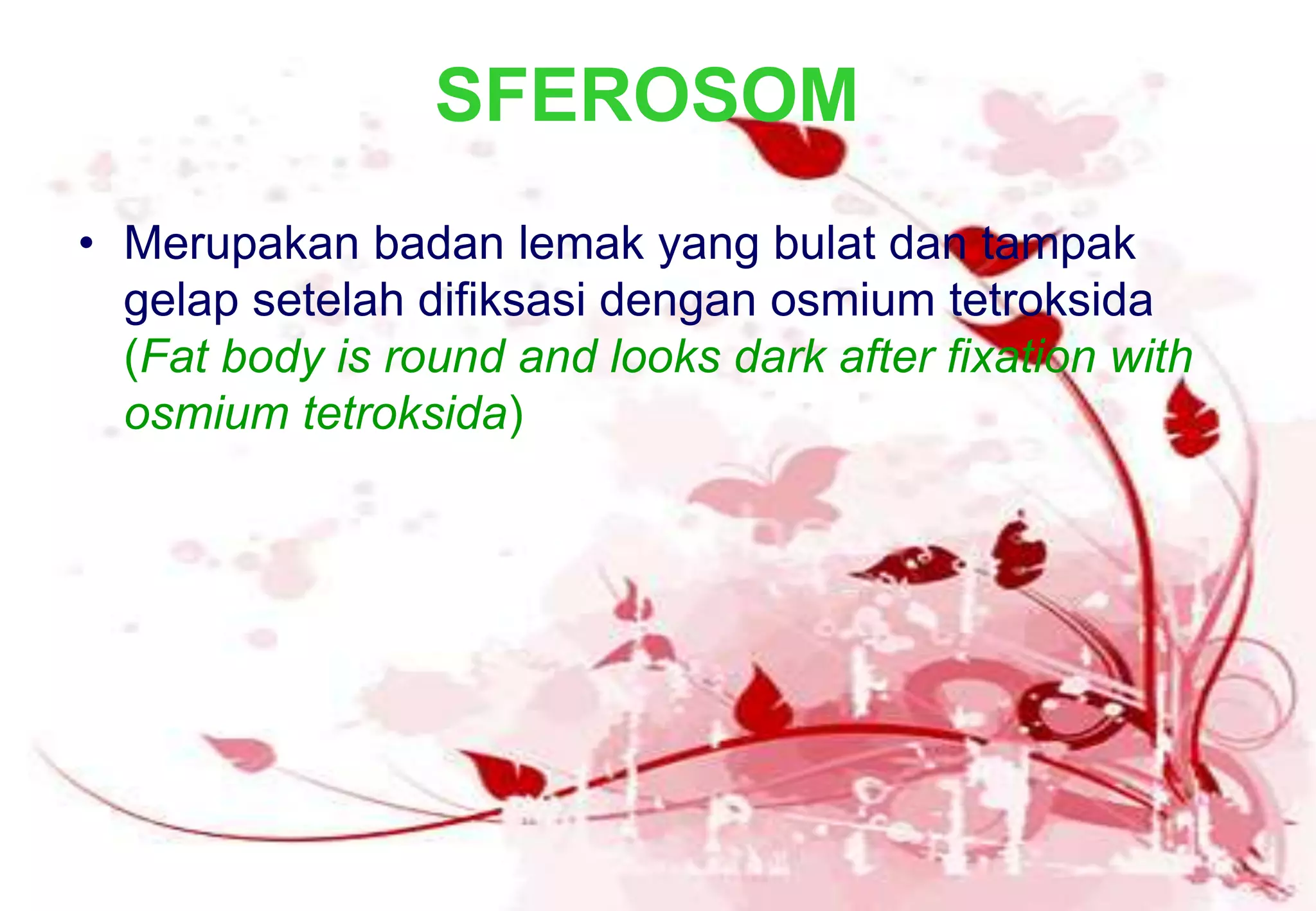 2 ANATOMI TUMBUHAN BERBUNGA.ppt