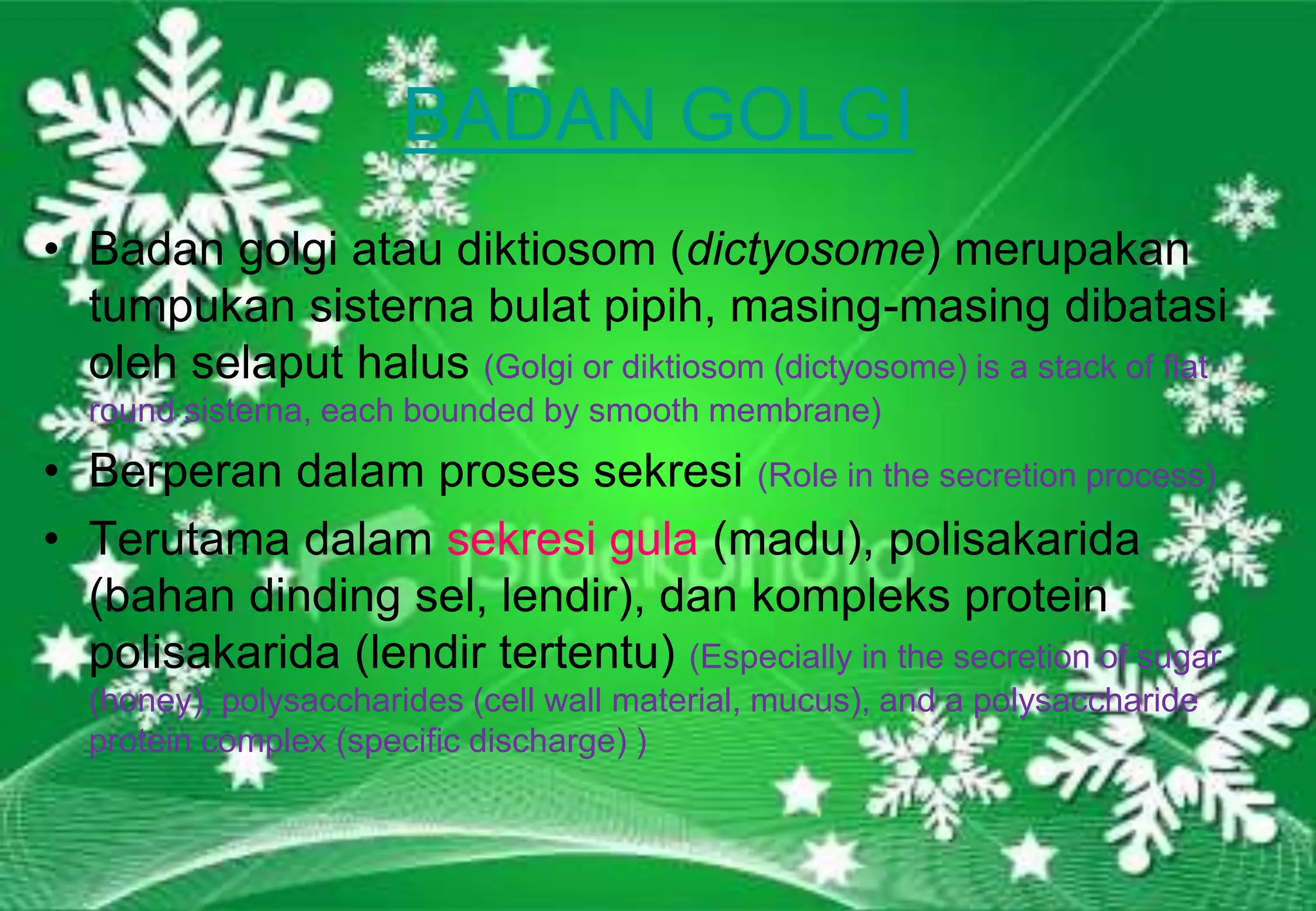 2 ANATOMI TUMBUHAN BERBUNGA.ppt