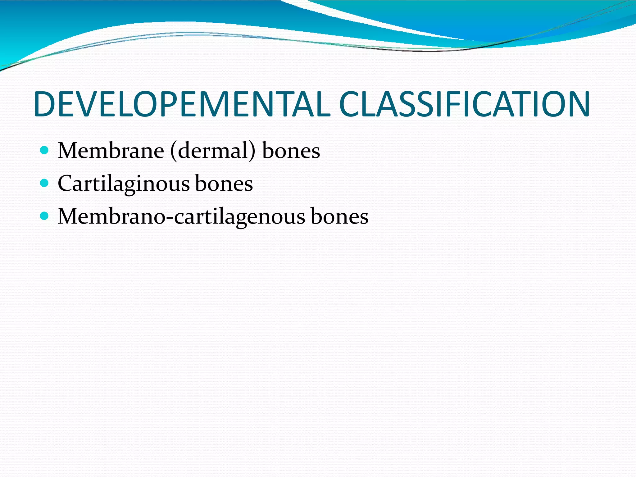 Anatomy of Bone and Cartilage | PPT