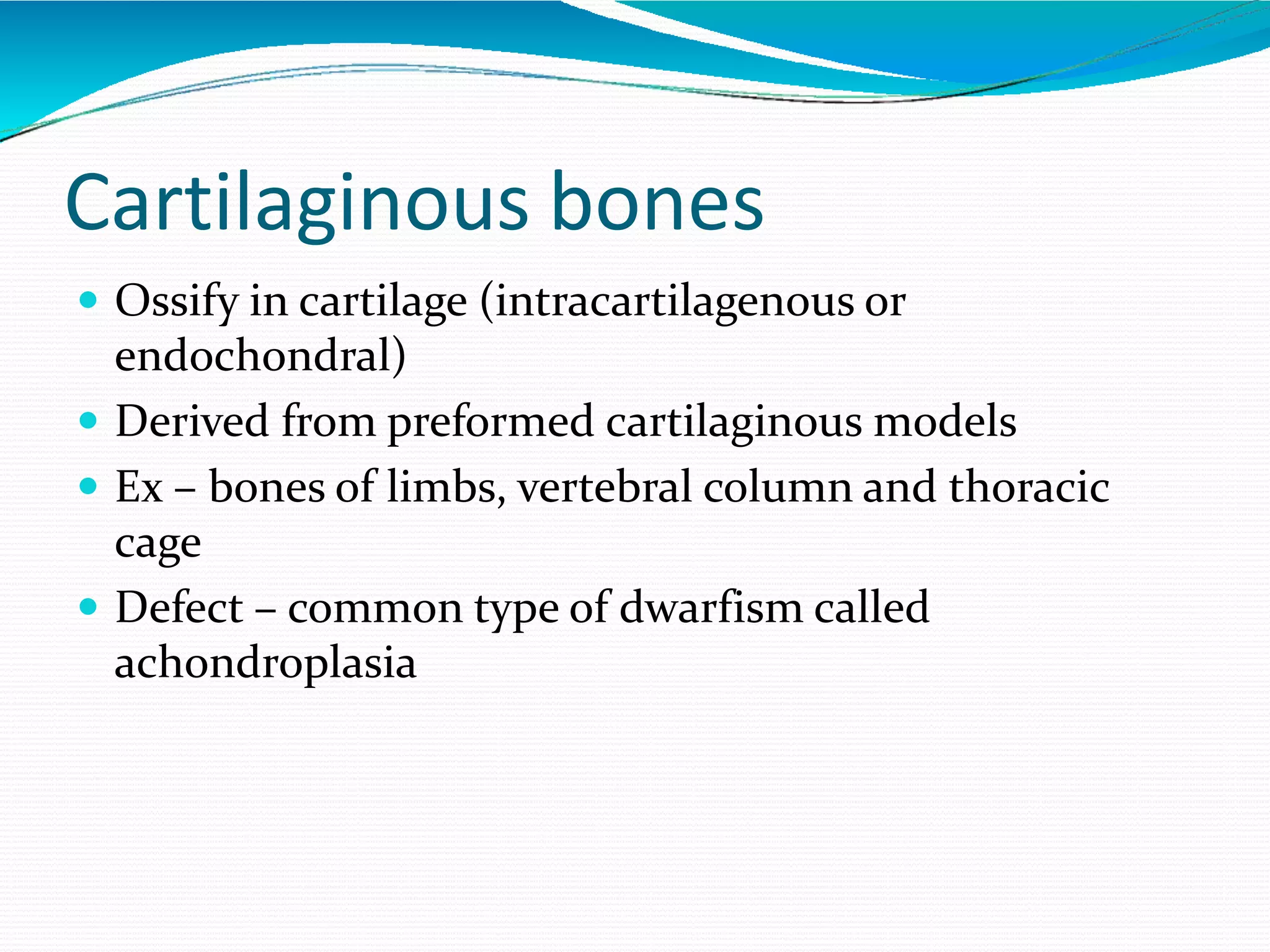 Anatomy of Bone and Cartilage | PPT