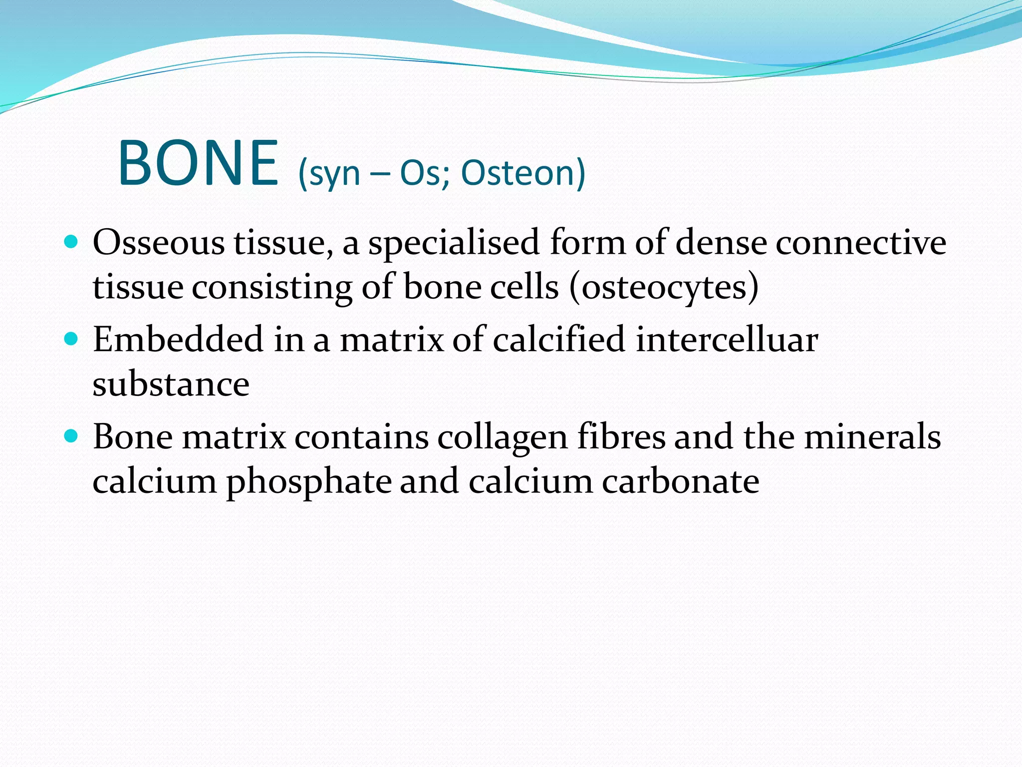 Anatomy of Bone and Cartilage | PPT