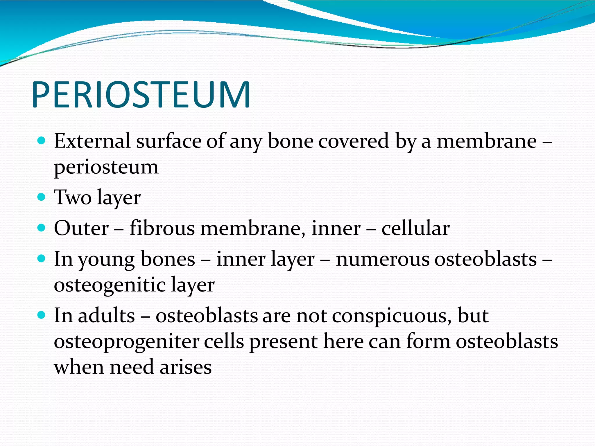 Anatomy of Bone and Cartilage | PPT