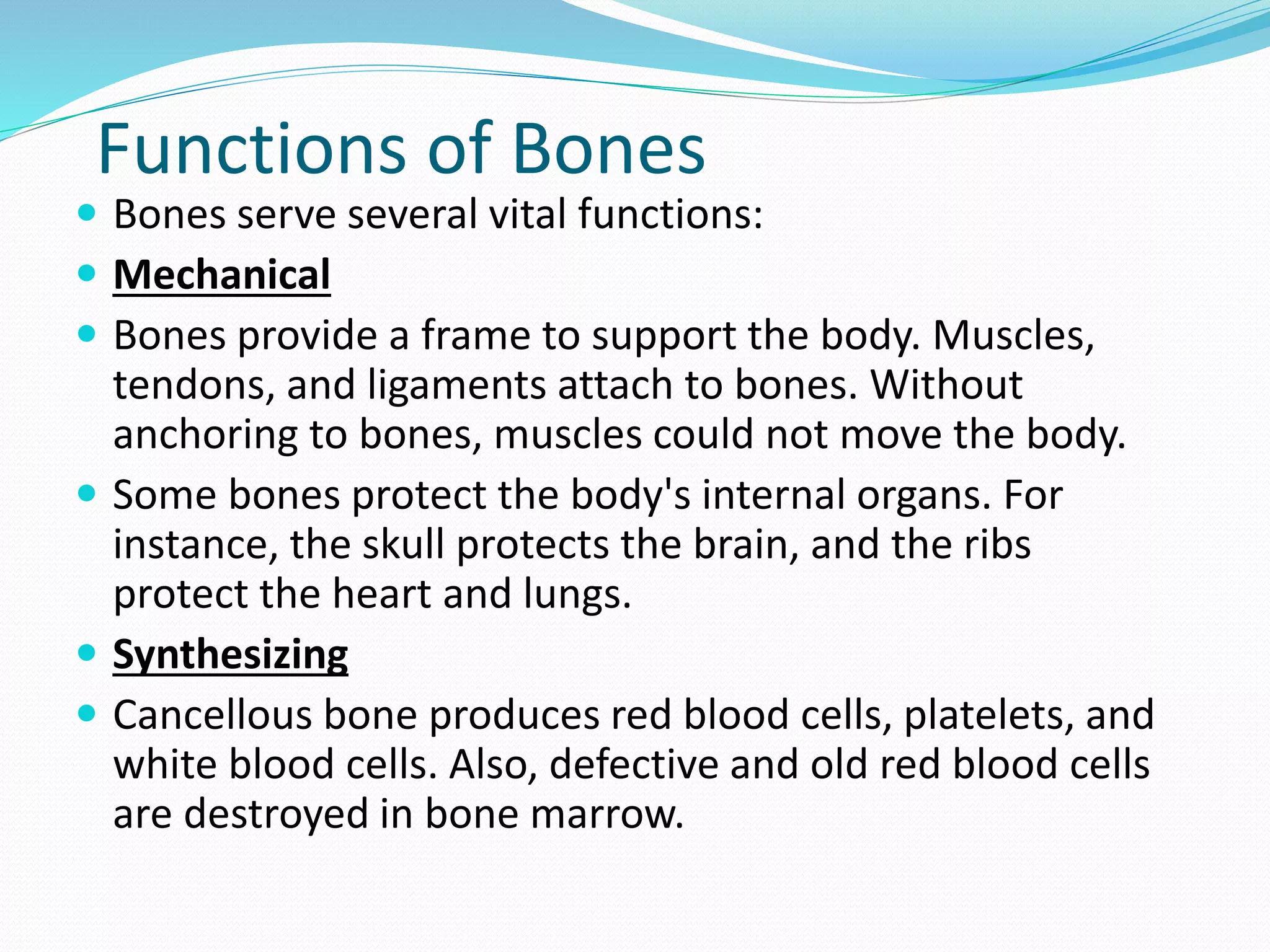 Anatomy of Bone and Cartilage | PPT