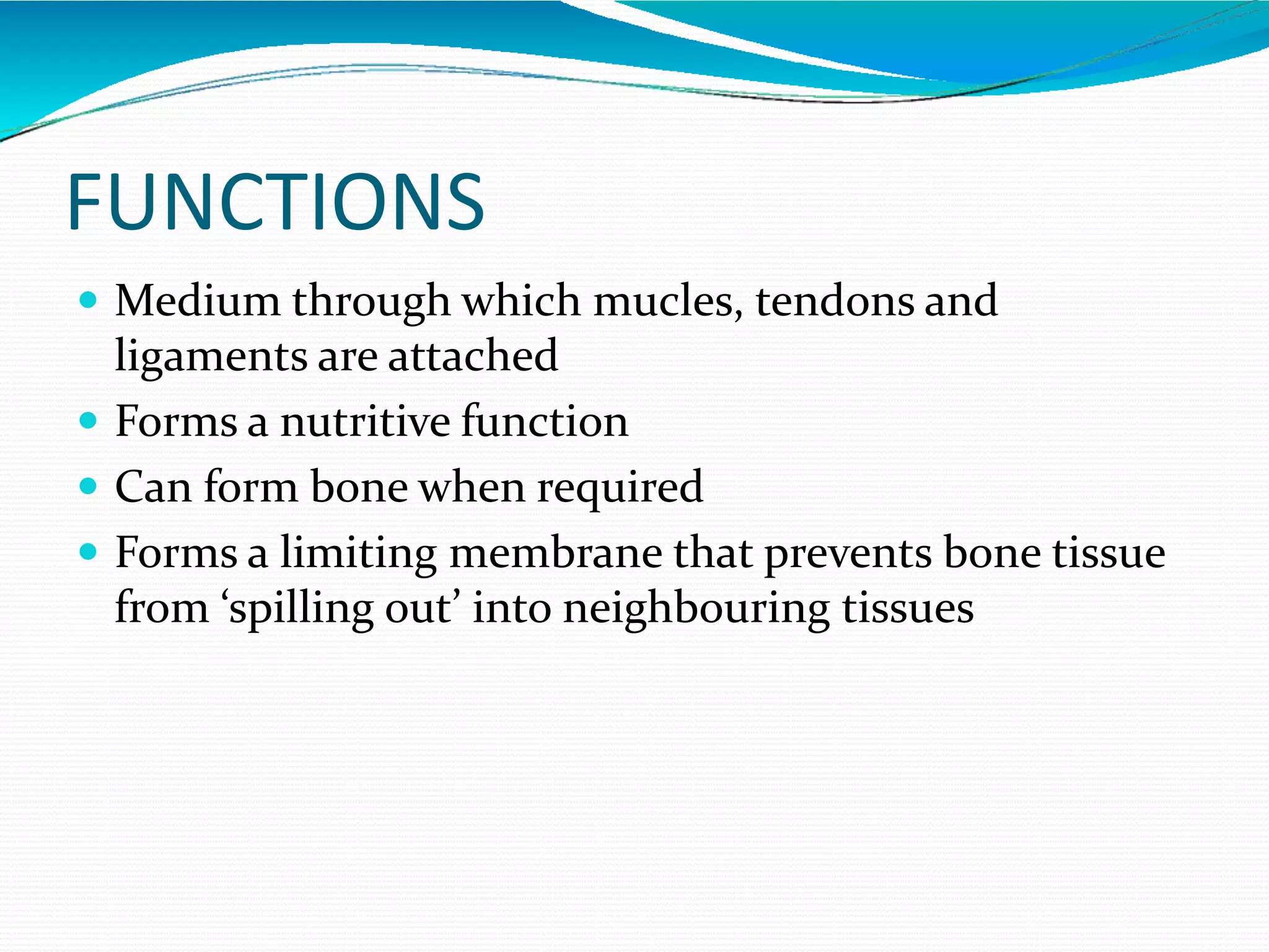 Anatomy of Bone and Cartilage | PPT