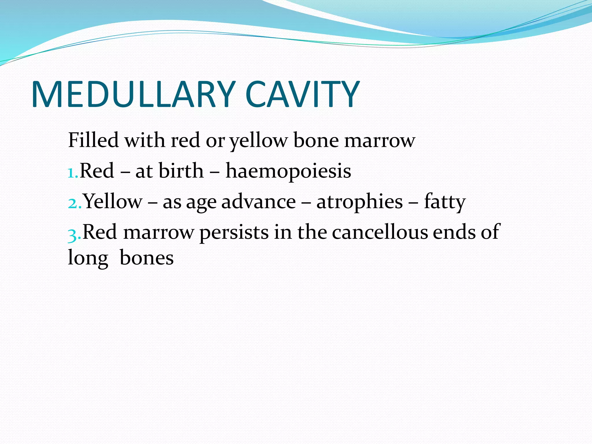 Anatomy of Bone and Cartilage | PPT
