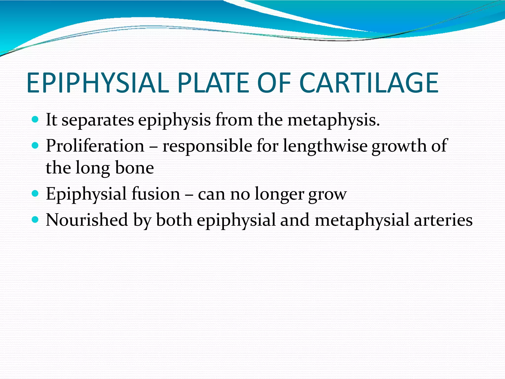 Anatomy of Bone and Cartilage | PPT